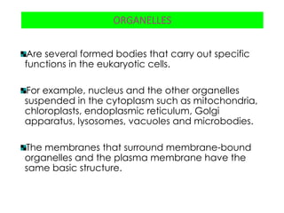 STRUCTURE OF ORGANELLES AND FUNCTIONS.ppt