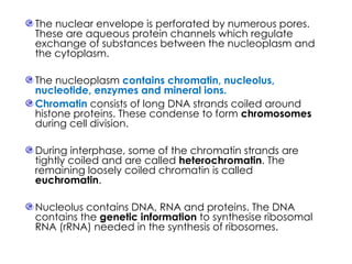 STRUCTURE OF ORGANELLES AND FUNCTIONS.ppt