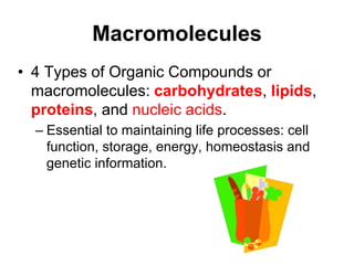 Structure of organic compounds ppt | PPTX