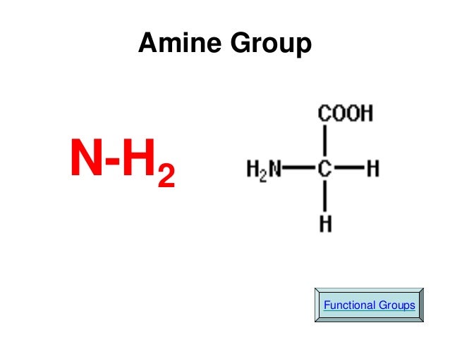 Structure of organic compounds ppt