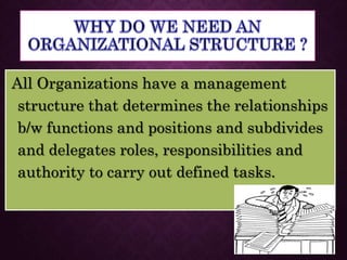 Admin ManagementSTRUCTURE_OF_ORGANIZATION.pptx