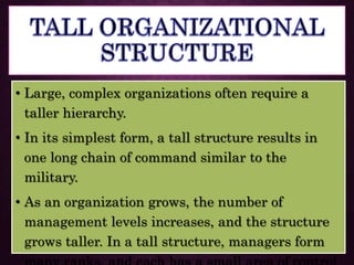 Admin ManagementSTRUCTURE_OF_ORGANIZATION.pptx