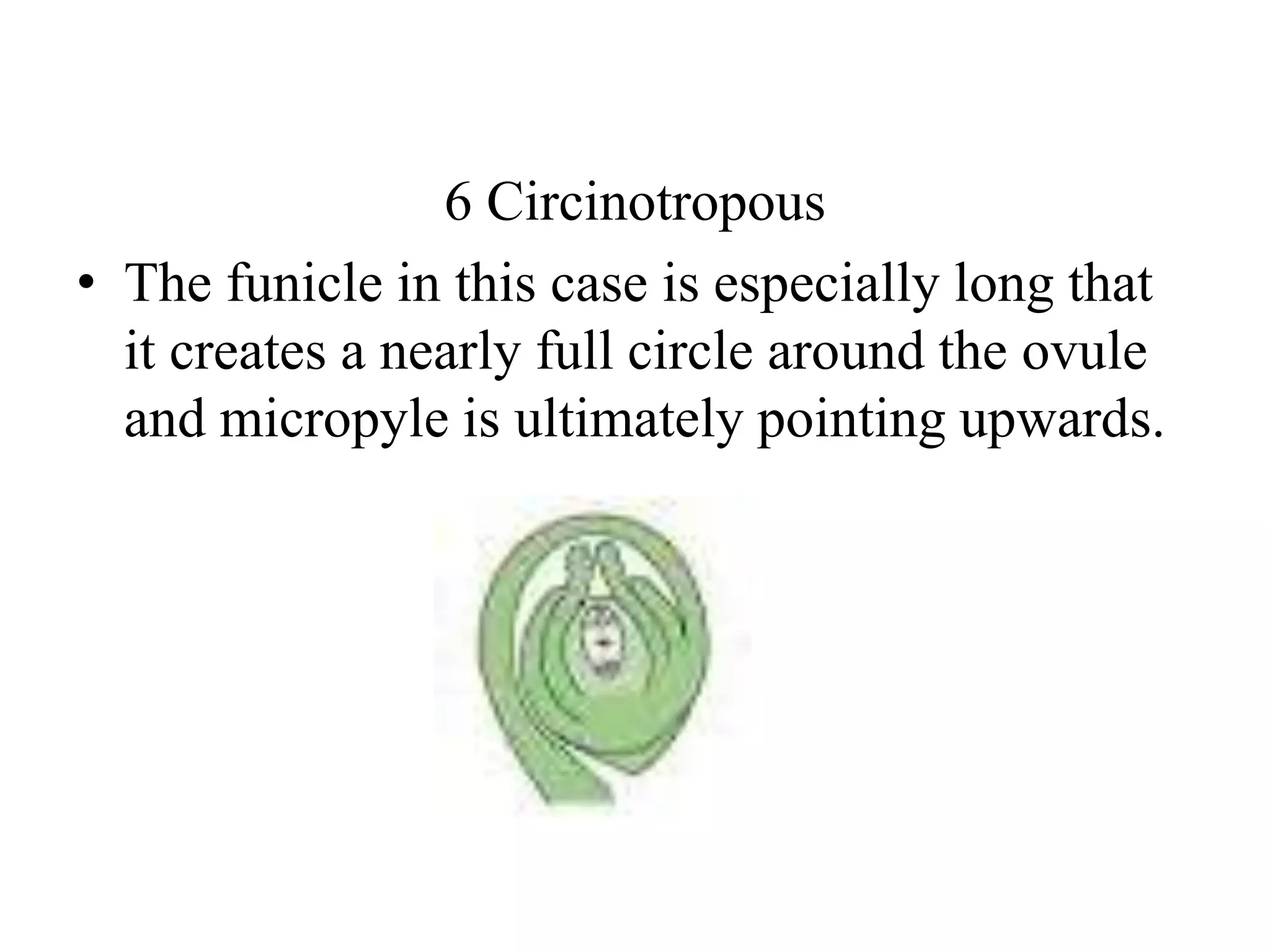 Structure of ovule | PPTX
