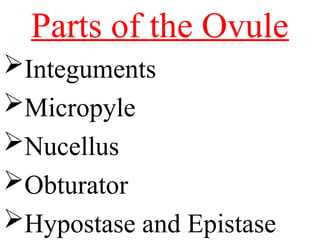 Structure of Ovule.ppt ovule is female reproducgive cell | PPT