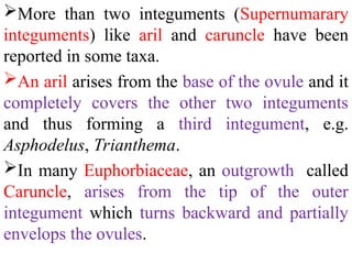 Structure of Ovule.ppt ovule is female reproducgive cell | PPT