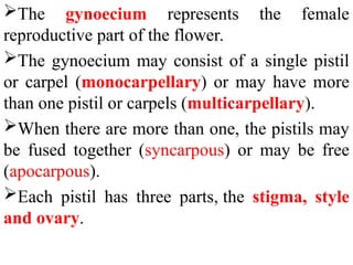 Structure of Ovule.ppt ovule is female reproducgive cell | PPT