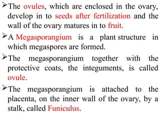Structure of Ovule.ppt ovule is female reproducgive cell | PPT