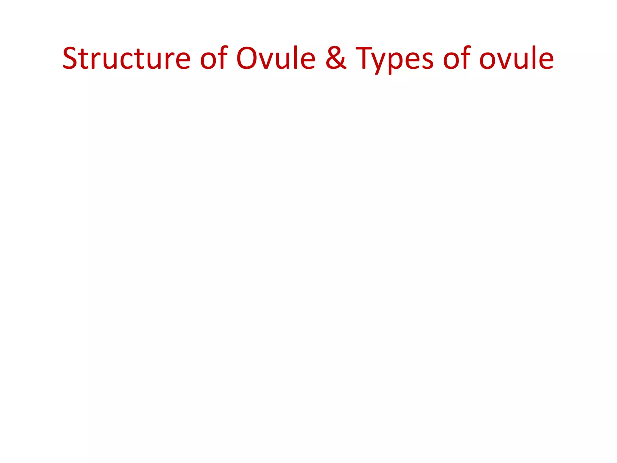 Structure of ovule & types of ovule | PPTX