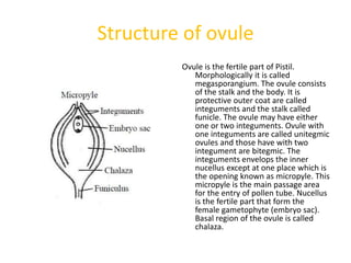 Structure of ovule & types of ovule | PPTX