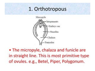 Structure of ovule & types of ovule | PPTX