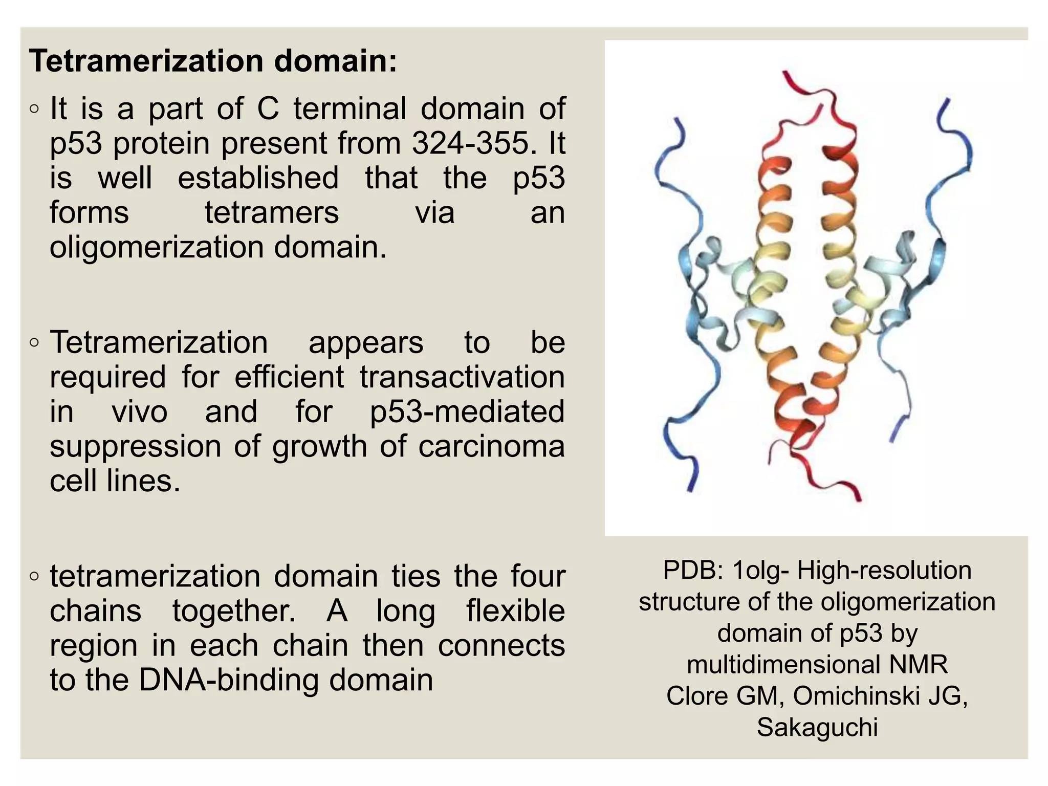 Structure of p53 protein | PPTX