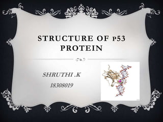 Structure of p53 protein | PPTX