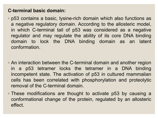 Structure of p53 protein | PPTX