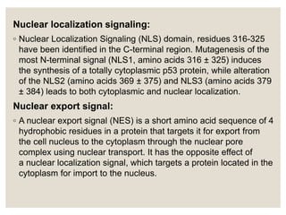 Structure of p53 protein | PPTX