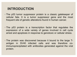 Structure of p53 protein | PPTX