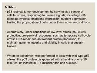Structure of p53 protein | PPTX