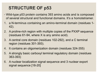 Structure of p53 protein | PPTX