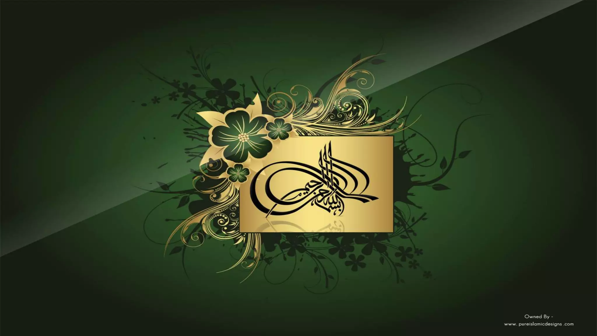 Structure of pakistani goverment | PPTX