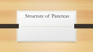 Structure of Pancreas ppt.pptx