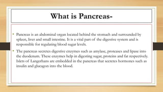 Structure of Pancreas ppt.pptx