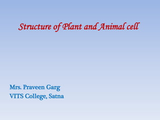 Structure of plant and animal cell | PPTX