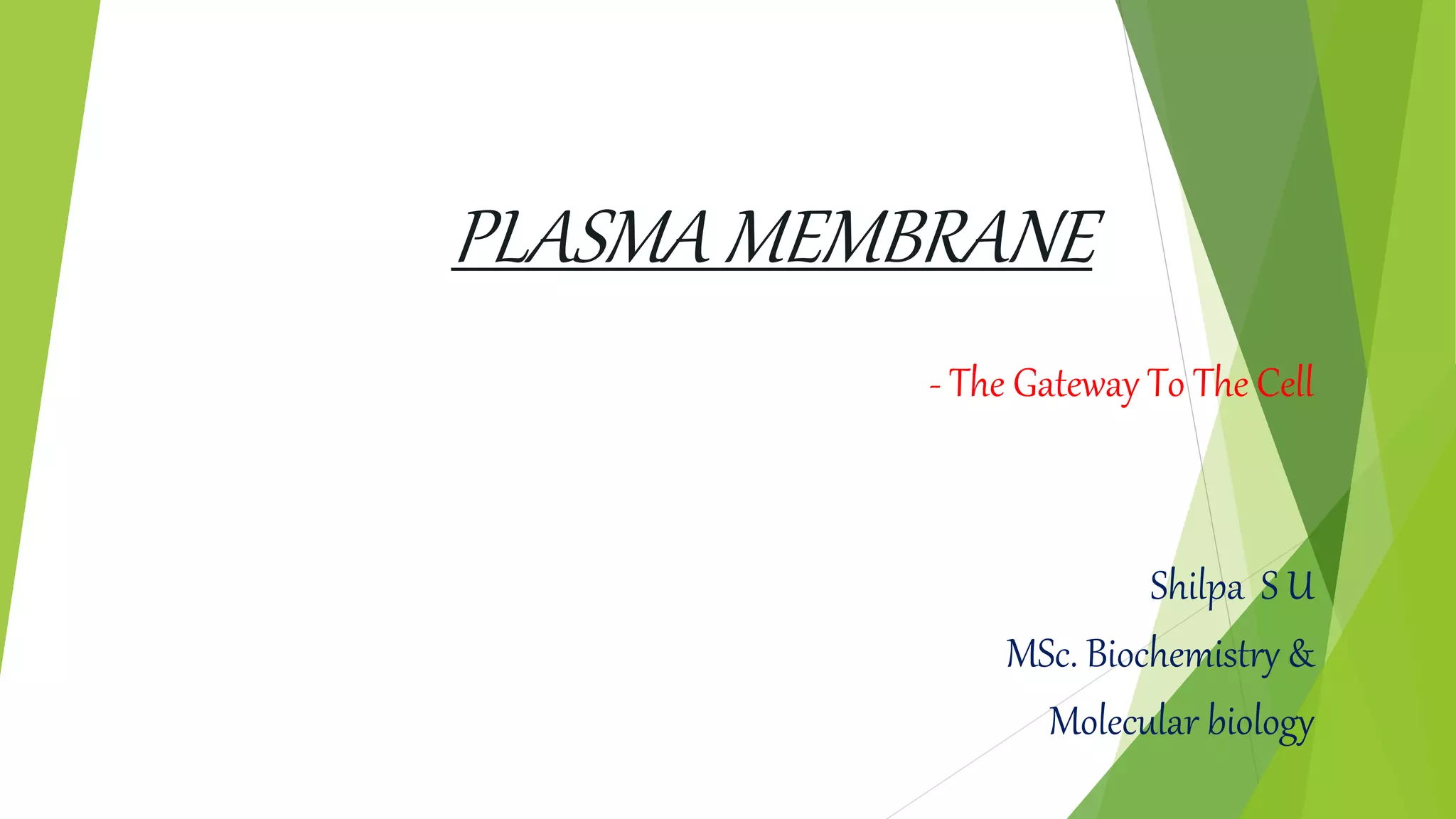 Structure of plasma membrane | PPTX