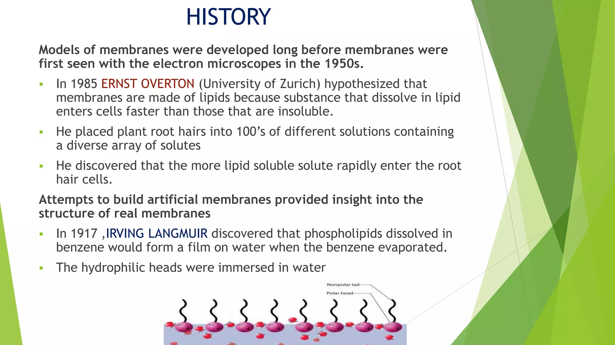 Structure of plasma membrane | PPTX