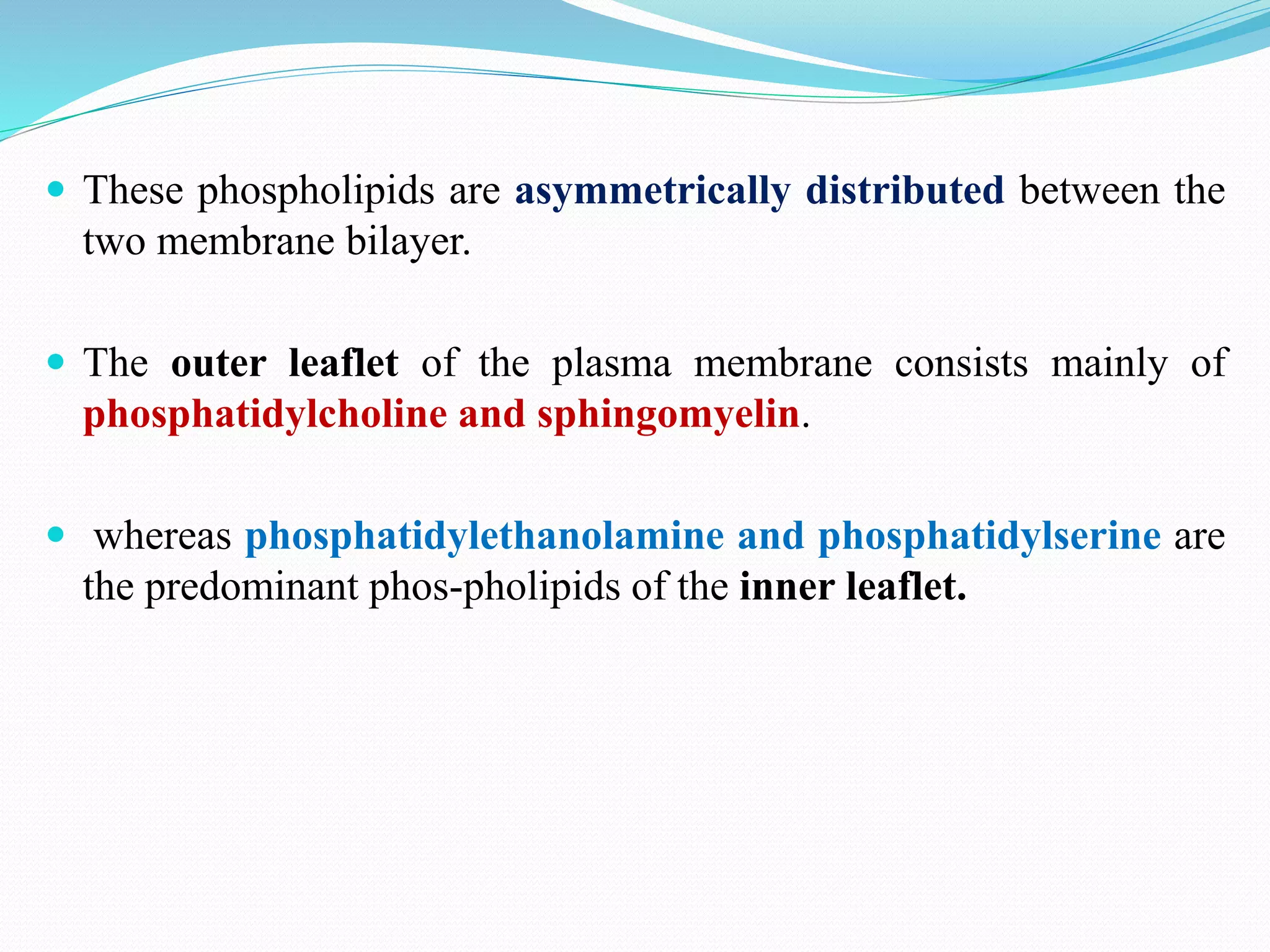 Structure of plasma membrane | PPTX