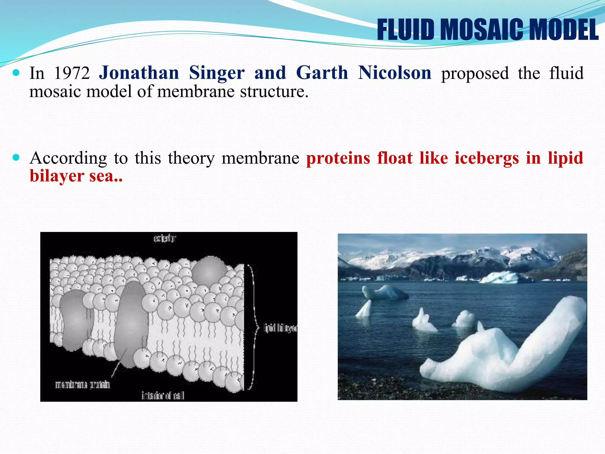 Structure of plasma membrane | PPTX