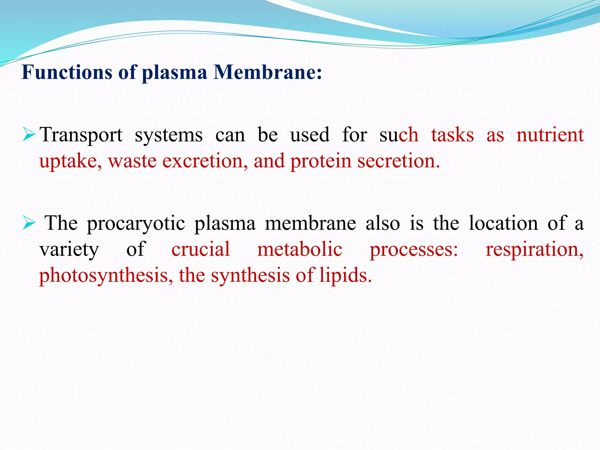 Structure of plasma membrane | PPTX