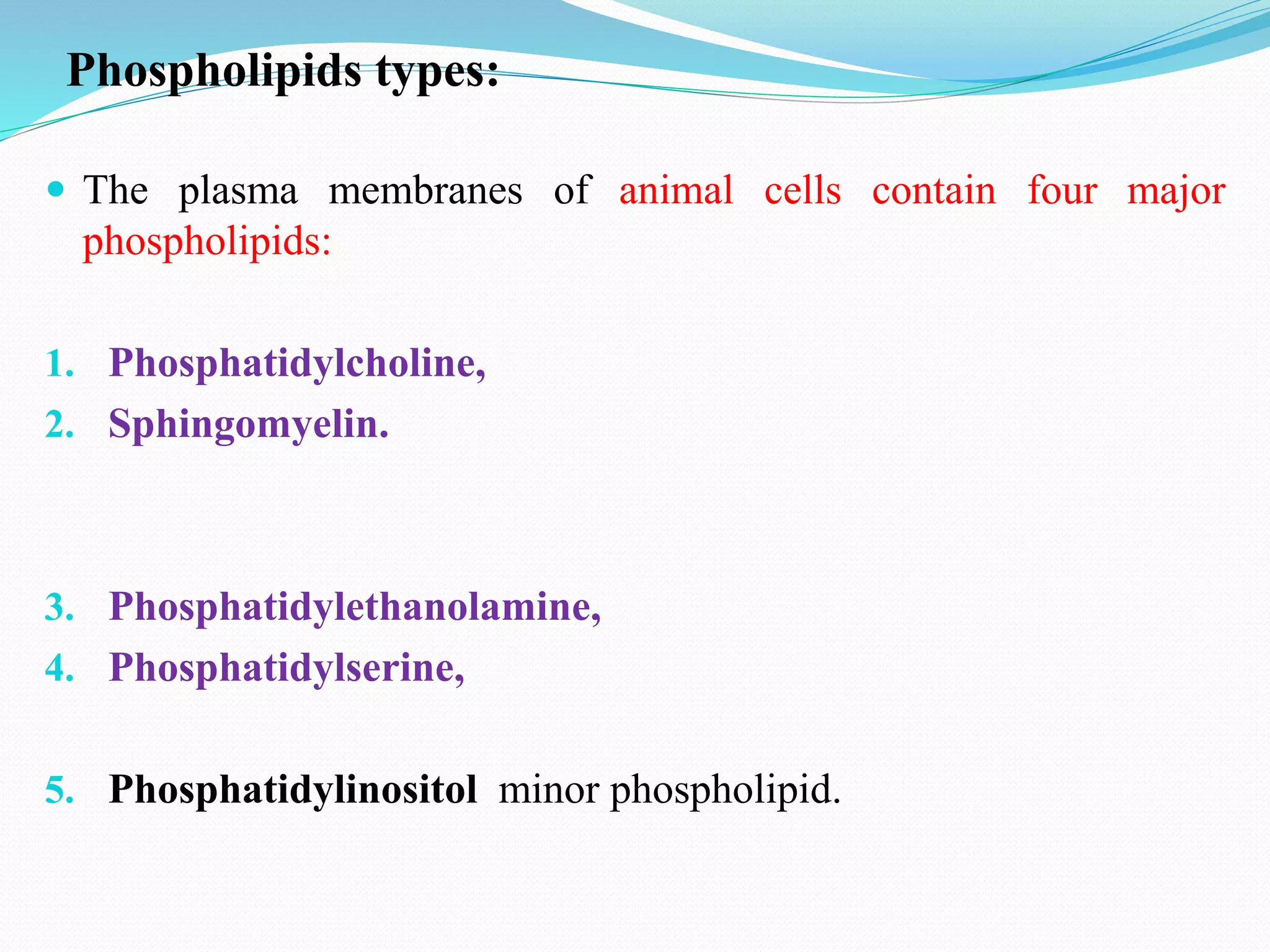 Structure of plasma membrane | PPTX