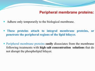Structure of plasma membrane | PPTX