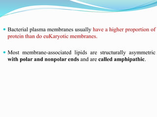 Structure of plasma membrane | PPTX