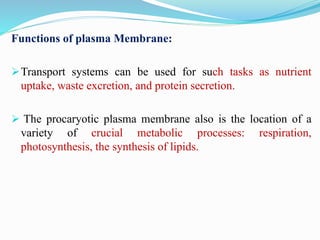 Structure of plasma membrane | PPTX