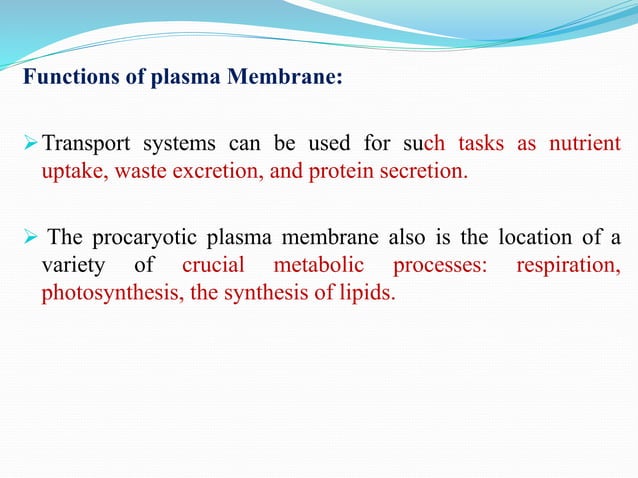 Structure of plasma membrane | PPT