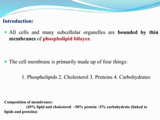 Structure of plasma membrane | PPTX