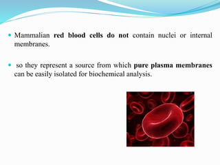 Structure of plasma membrane | PPTX