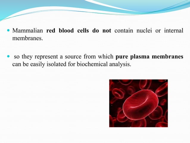 Structure of plasma membrane | PPT
