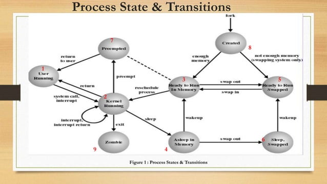 Structure of processes ppt | PPTX | Operating Systems | Computer ...