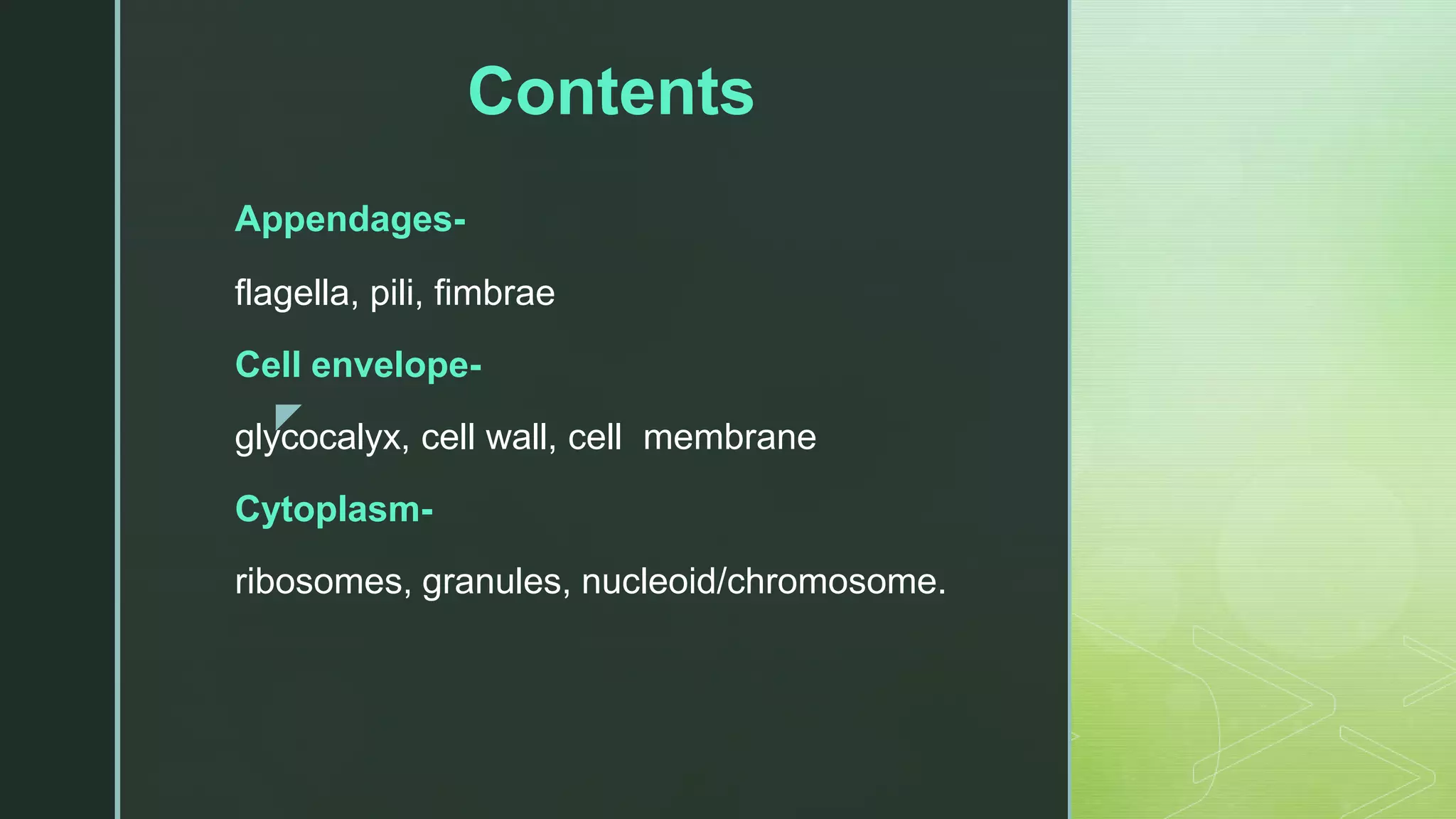 Structure of Prokaryotic Cell | PPTX