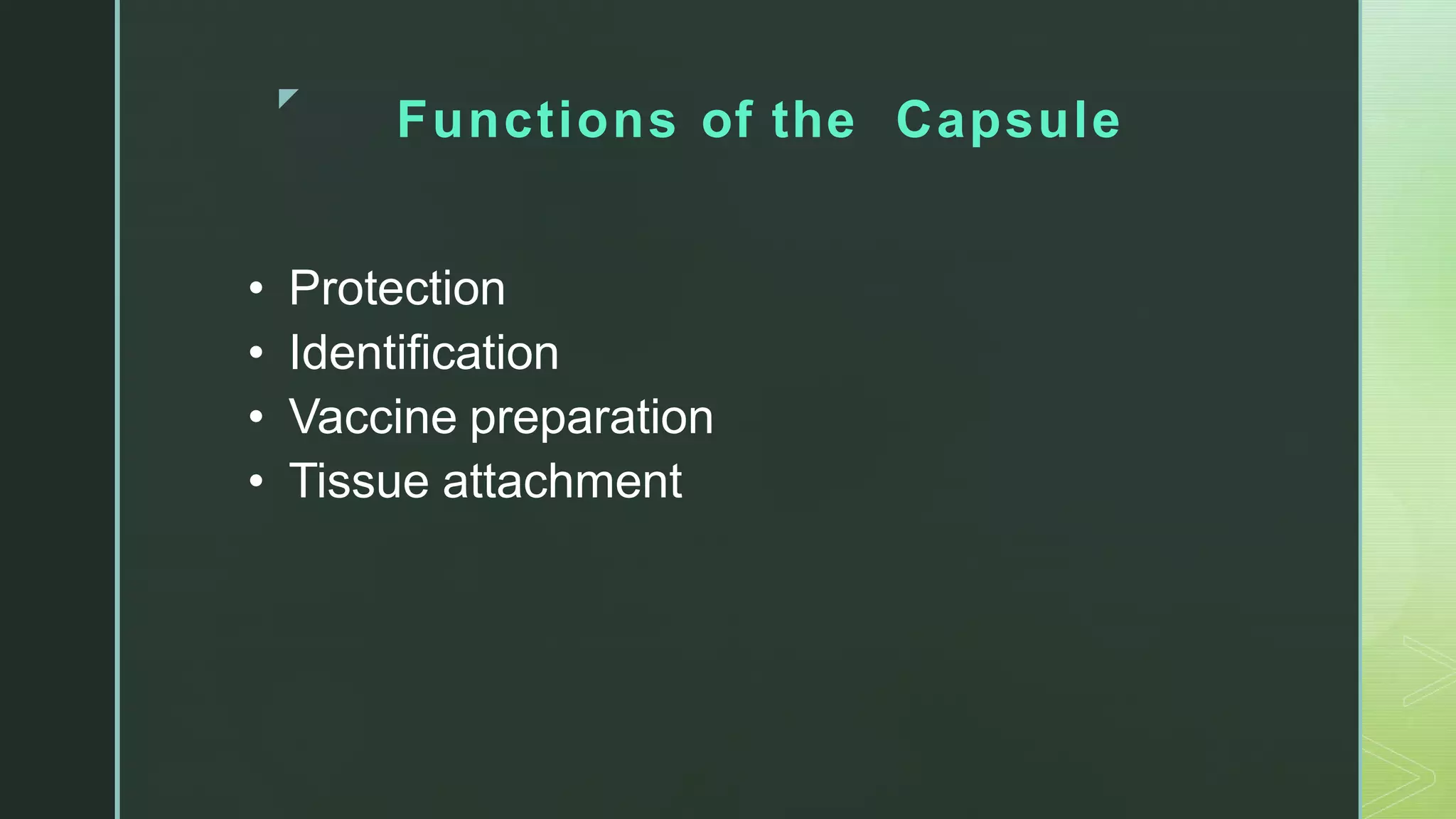 Structure Of Prokaryotic Cell Ppt