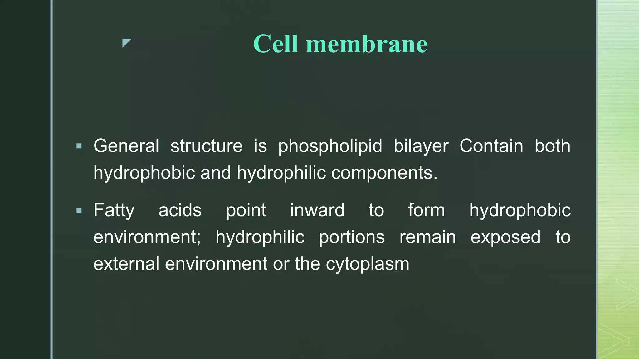 Structure of Prokaryotic Cell | PPTX | Biological Sciences | Science