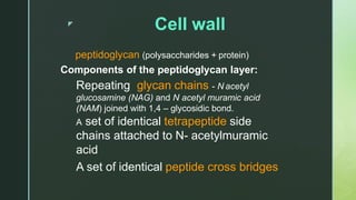 Structure of Prokaryotic Cell | PPTX