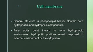 Structure of Prokaryotic Cell | PPTX