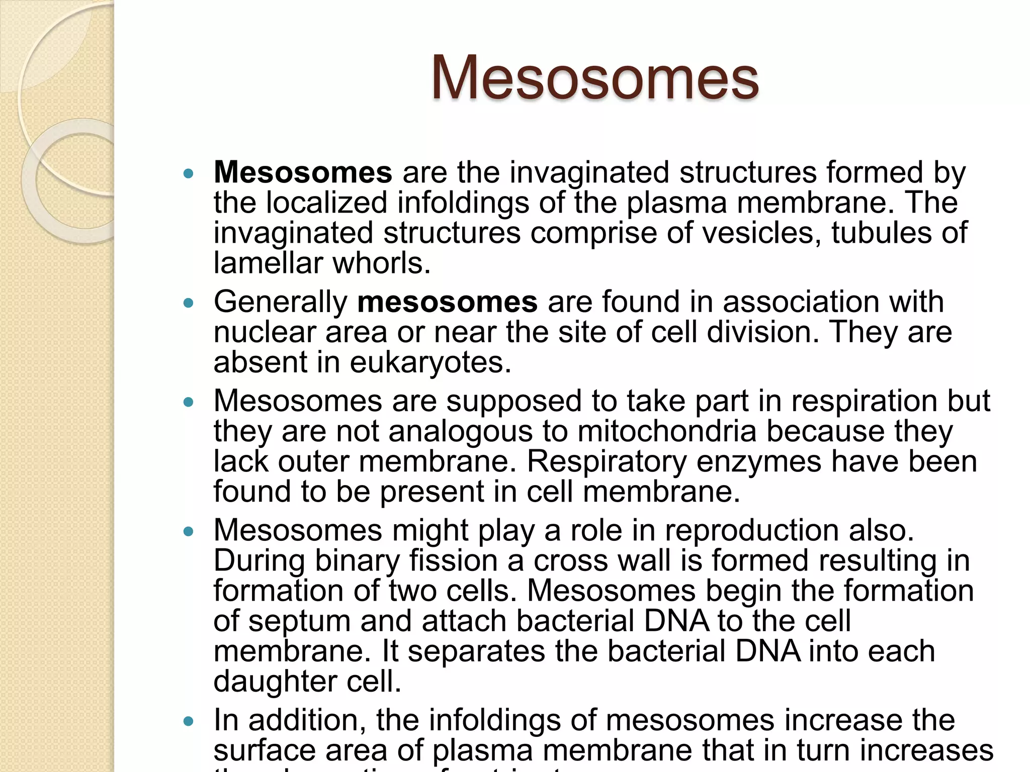 Structure of prokaryotic cell.pptx