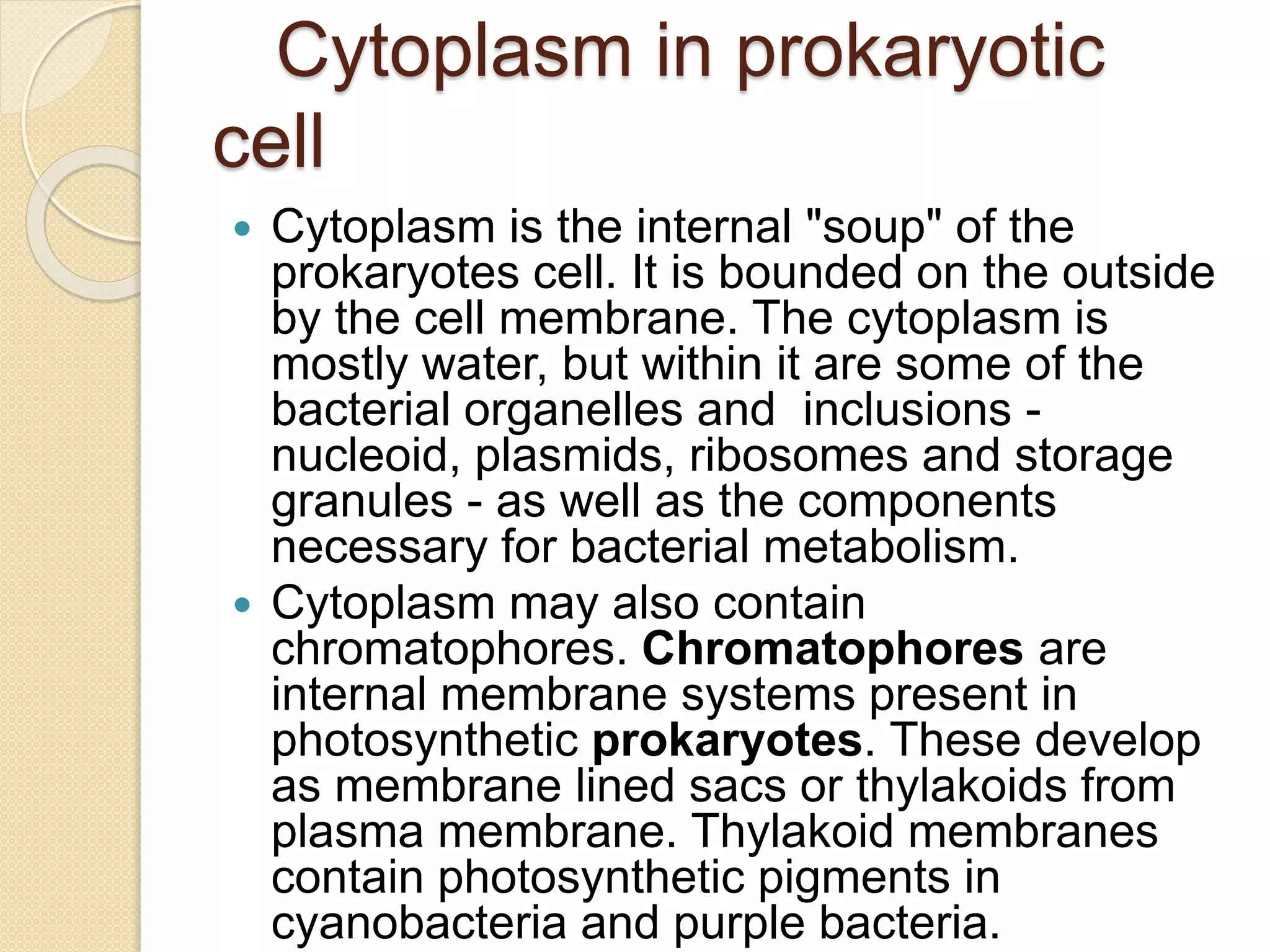 Structure of prokaryotic cell.pptx