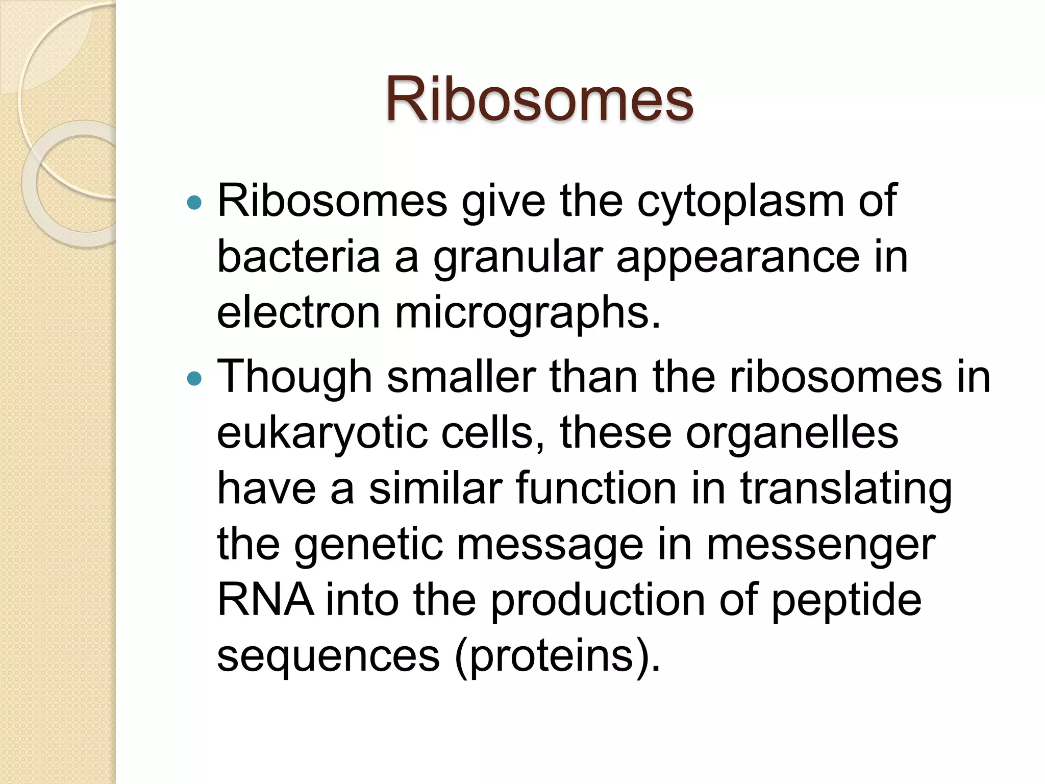 Structure of prokaryotic cell.pptx