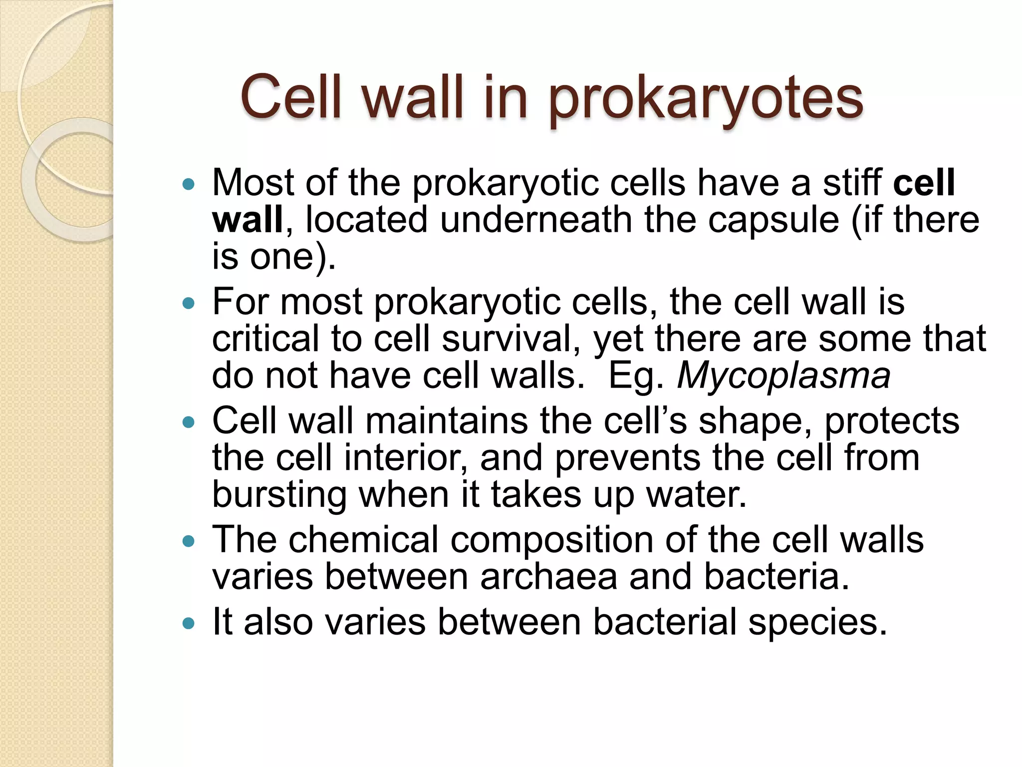 Structure of prokaryotic cell.pptx