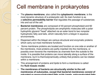 Structure of prokaryotic cell.pptx