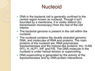 Structure of prokaryotic cell.pptx